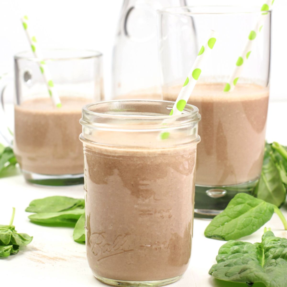 Chocolate Breakfast Shake Recipe